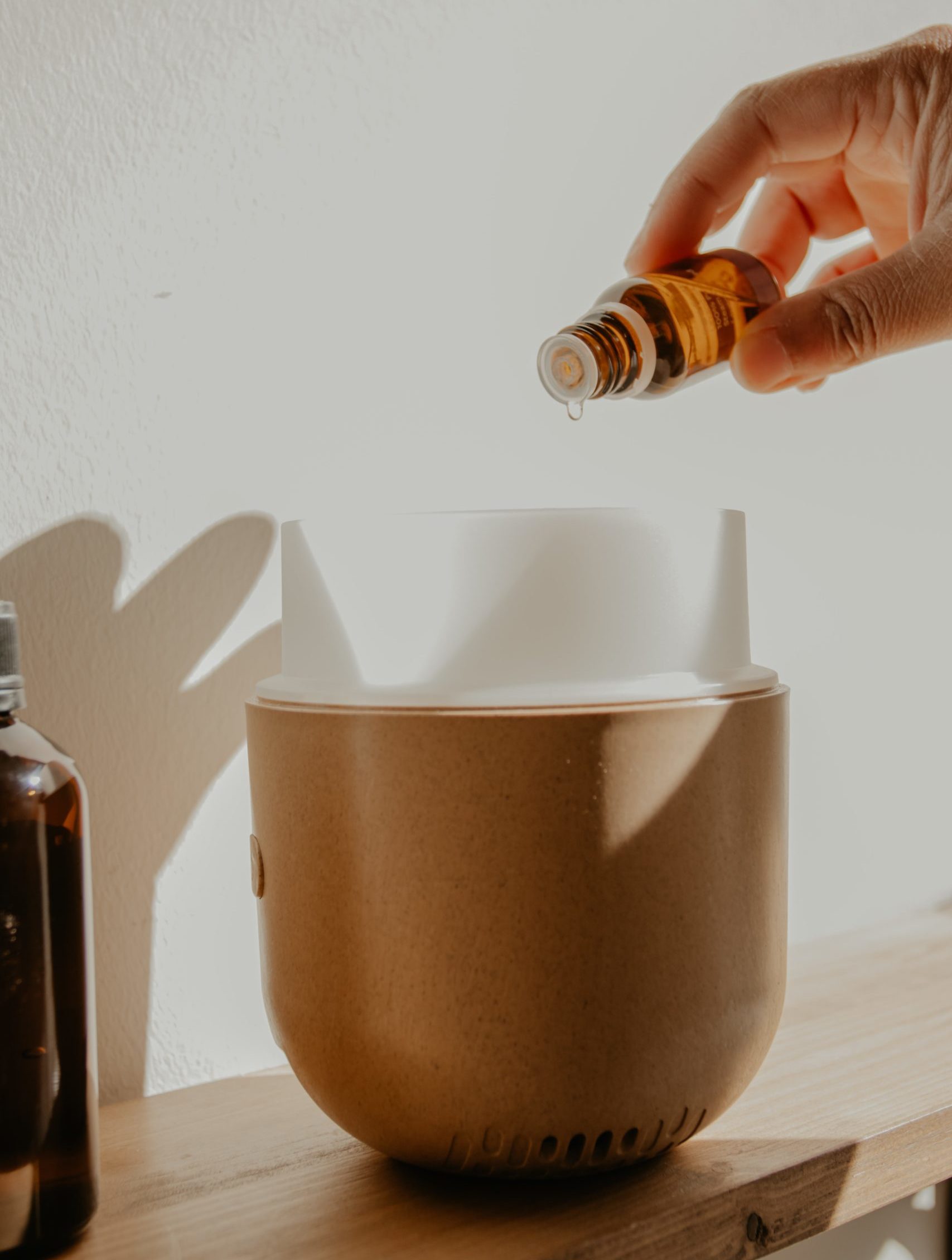 The Best Nontoxic Air Fresheners and Deodorizers | How To Safely ...